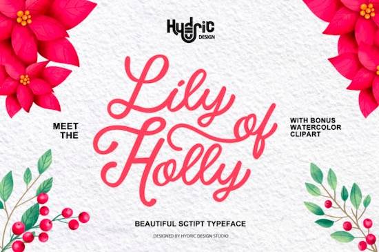 Lily Of Holly Monoline Script font - Fontspace.io