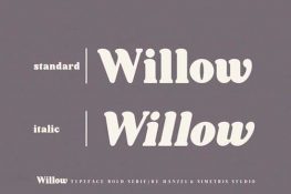 Willow Font FREE download - Fontspace.io
