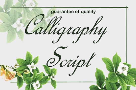 Calligraphy Script Font - Fontspace.io