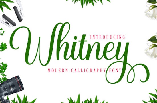 Whitney Font - Fontspace.io