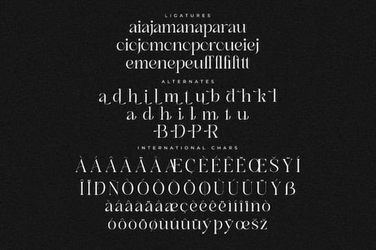 Branden Raulner Font from Storytype Studio - Fontspace.io