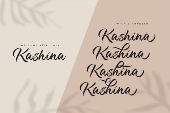 Kashina Font from Debut Studio - Fontspace.io