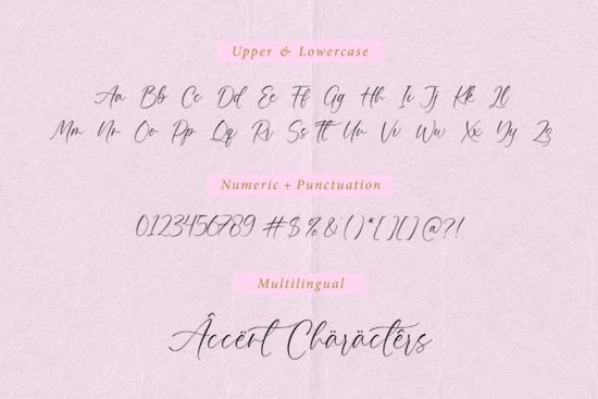 Palmera Emilia Font - Fontspace.io