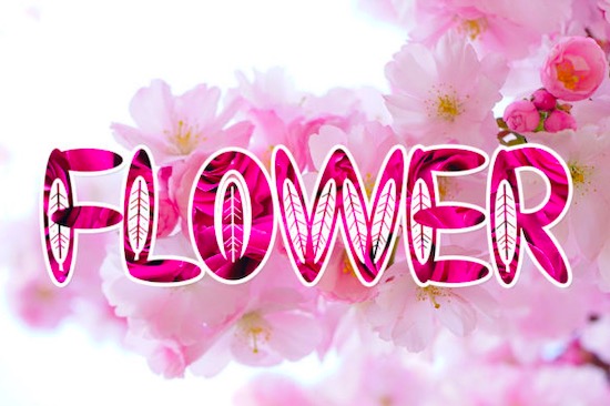 Green Leaf Font Fontspace Io