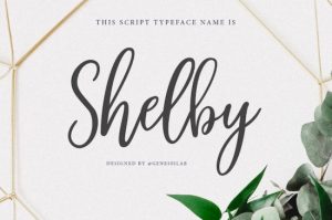 Shelby Font - Fontspace.io