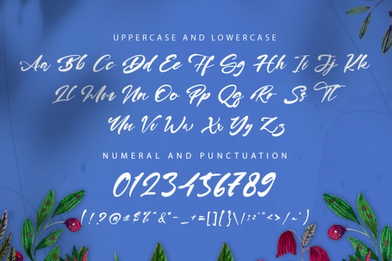 Mario Emma Font - Fontspace.io