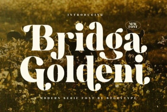 Americana Font Family - Fontspace.io