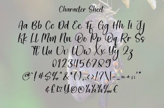 Butterfly Script Font - Fontspace.io