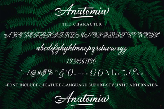 Anatomia Font - Fontspace.io