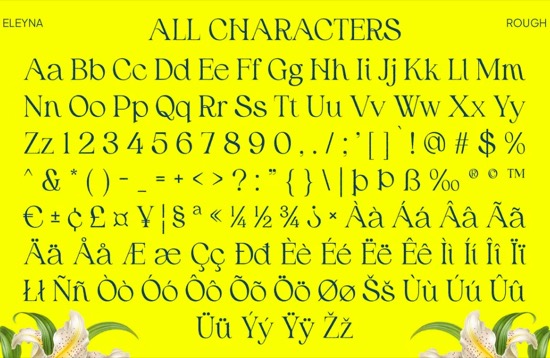 Eleyna Rough Font - Fontspace.io