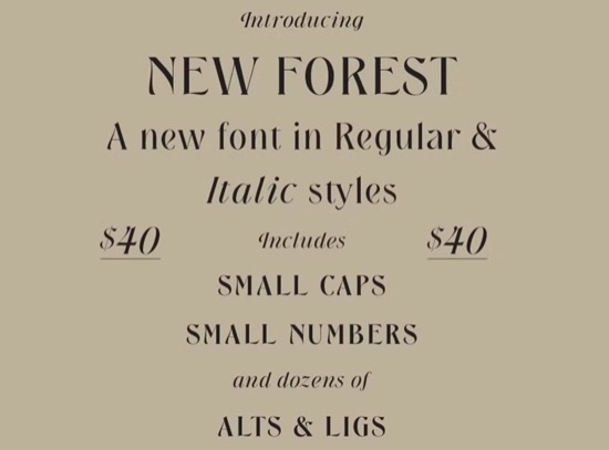 New Forest Font - Fontspace.io