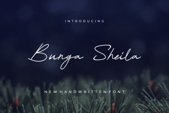 Bunga Sheila Font - Fontspace.io