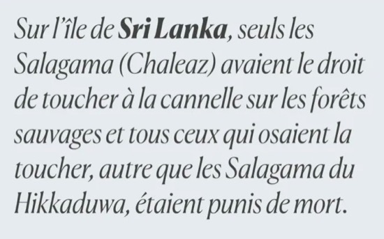Canela Font Family - Fontspace.io