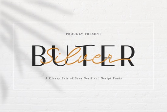 Buter Silver Font Duo - Fontspace.io